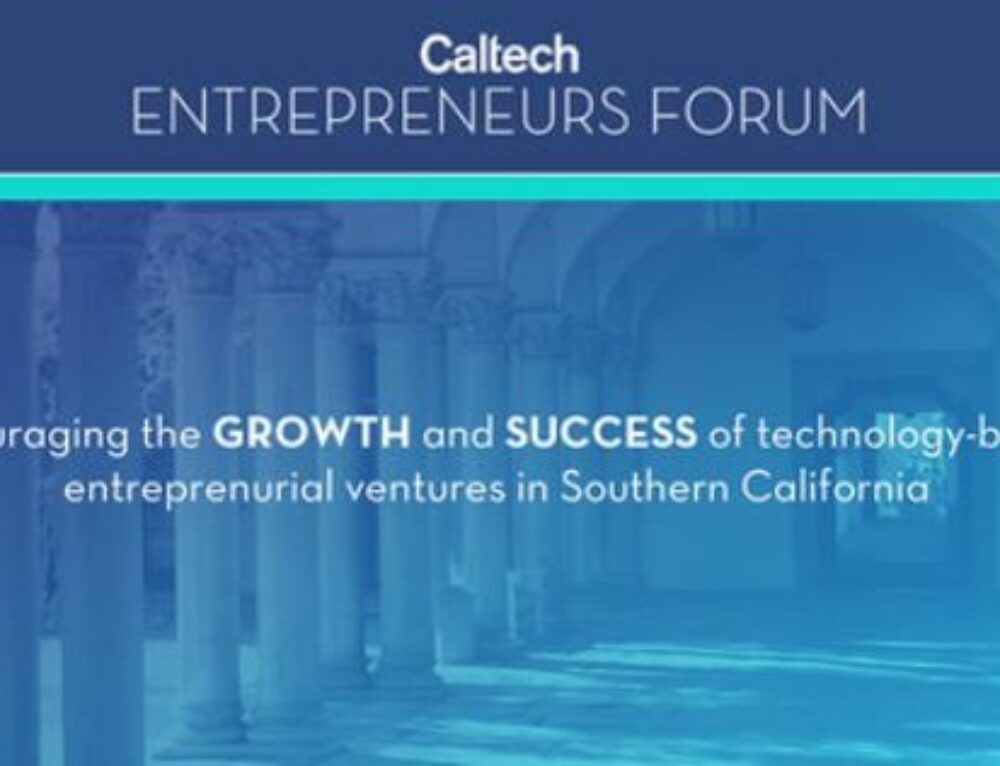 Dedicated and Shared Internet: What's the Difference? | Blog